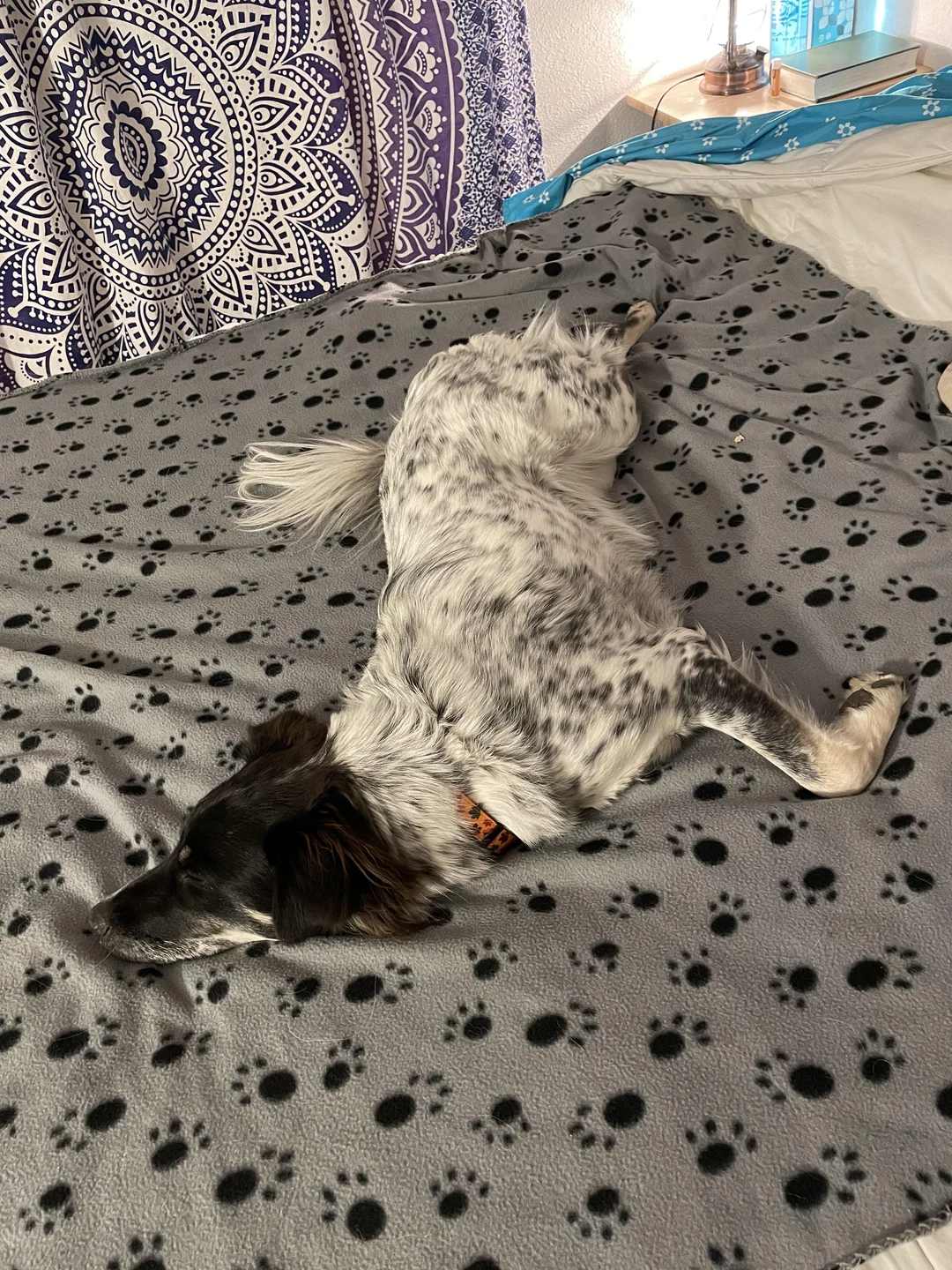 She can take up a lot of space for a tripod. | Scrolller