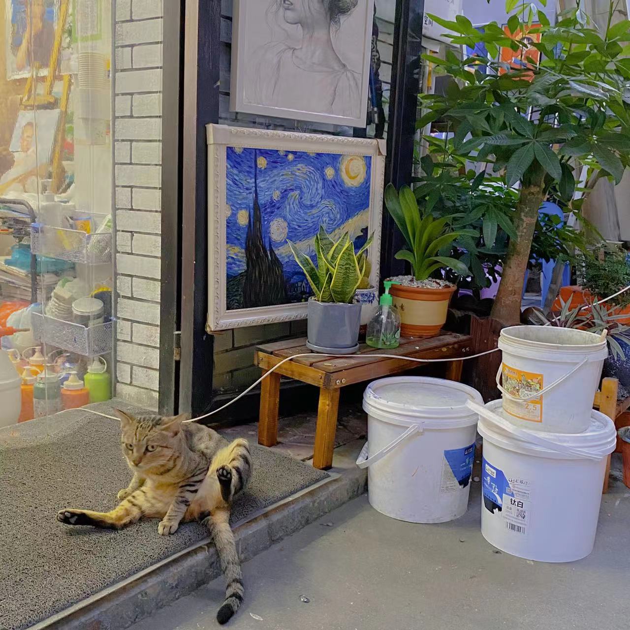 I'm afraid it will kick me | Scrolller