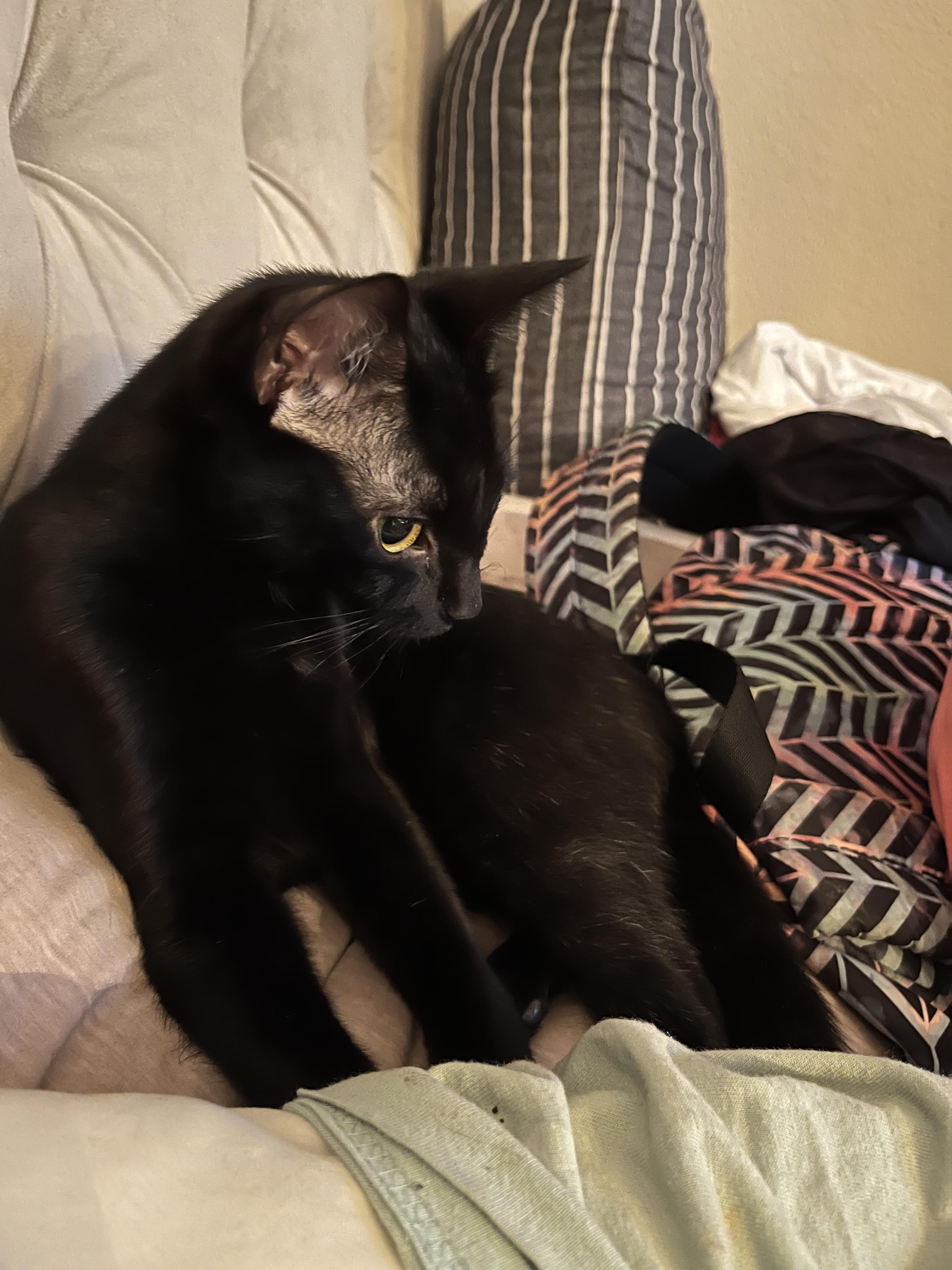 Pretty void | Scrolller