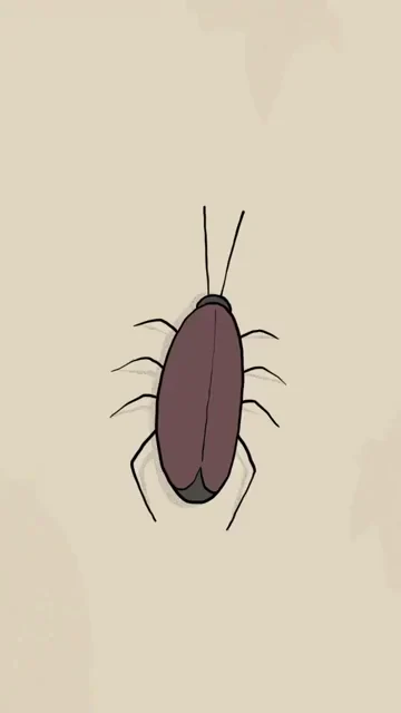 Smash the roach | Scrolller