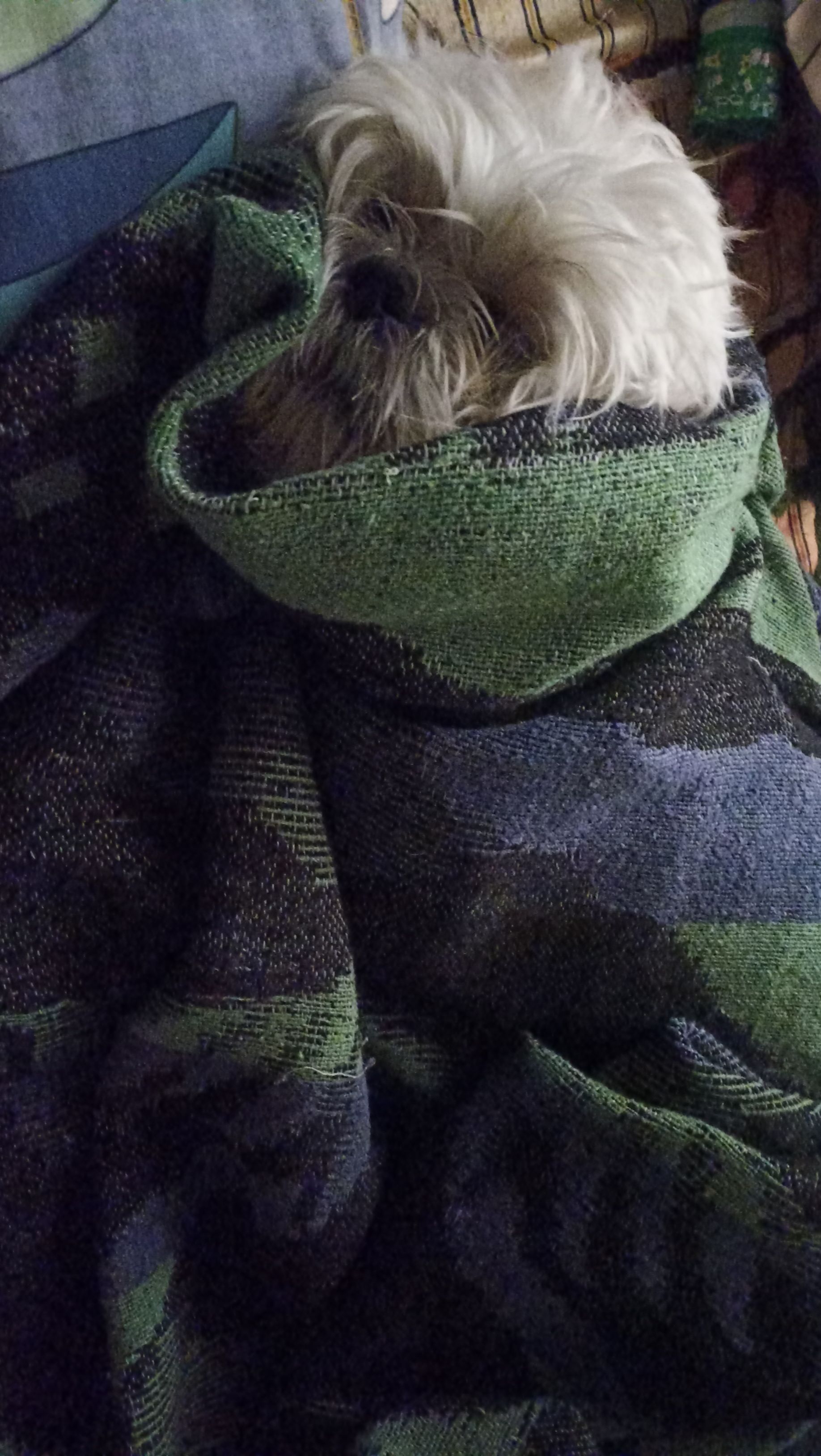 She's cold | Scrolller