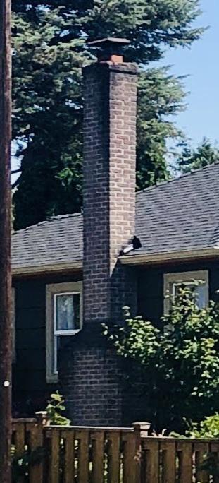 Chimney disassembly | Scrolller