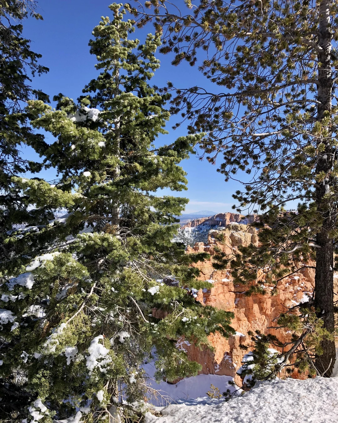 Bryce Canyon National Park [3024x3078] [OC] | Scrolller