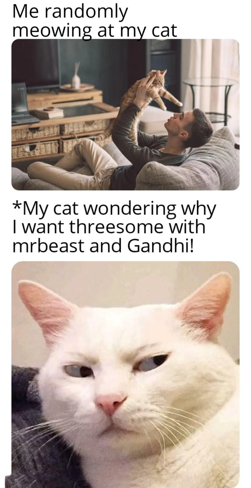 Visible Confusion | Scrolller