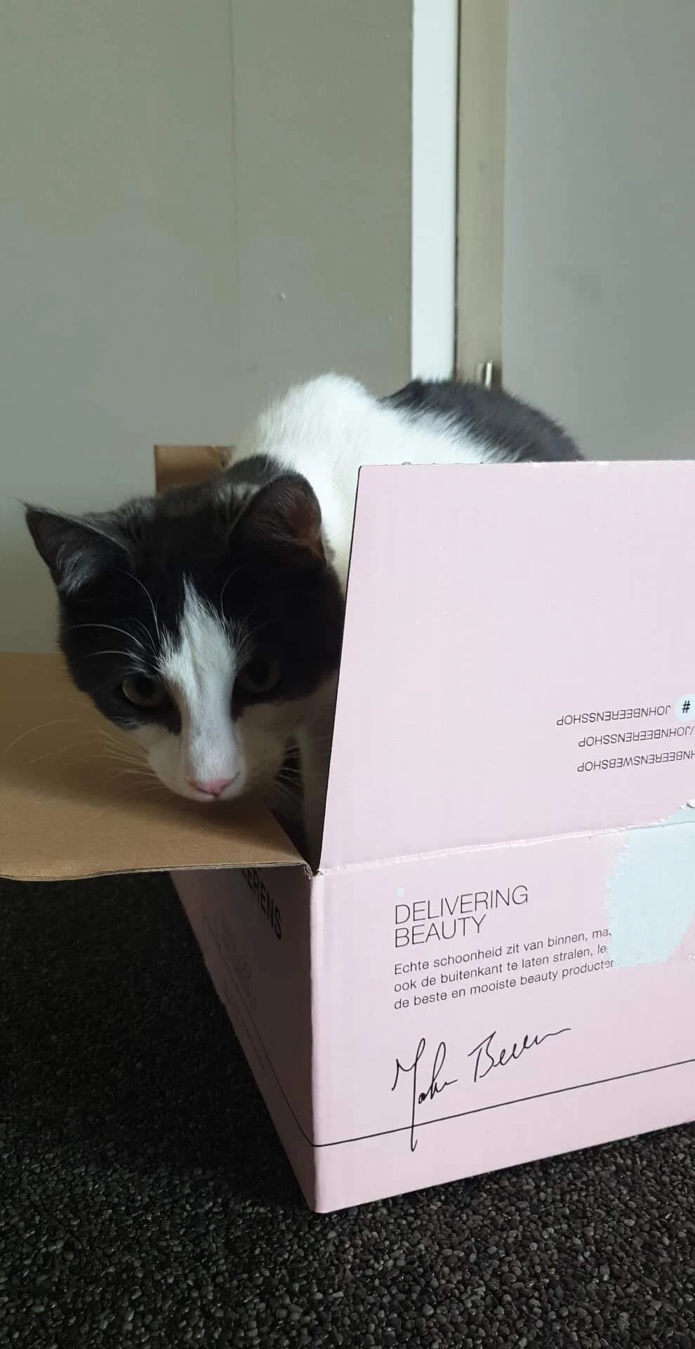 Delivering beauty | Scrolller