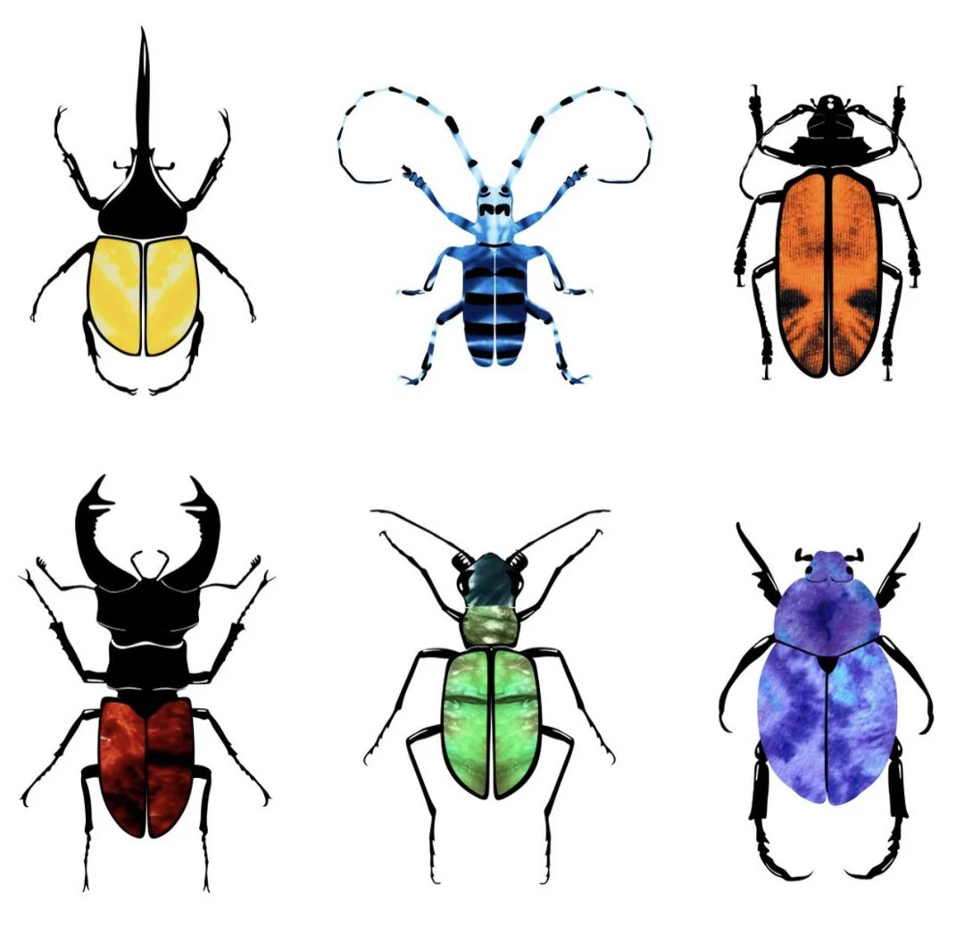 Beetles, yungxkat, digital,2023 | Scrolller
