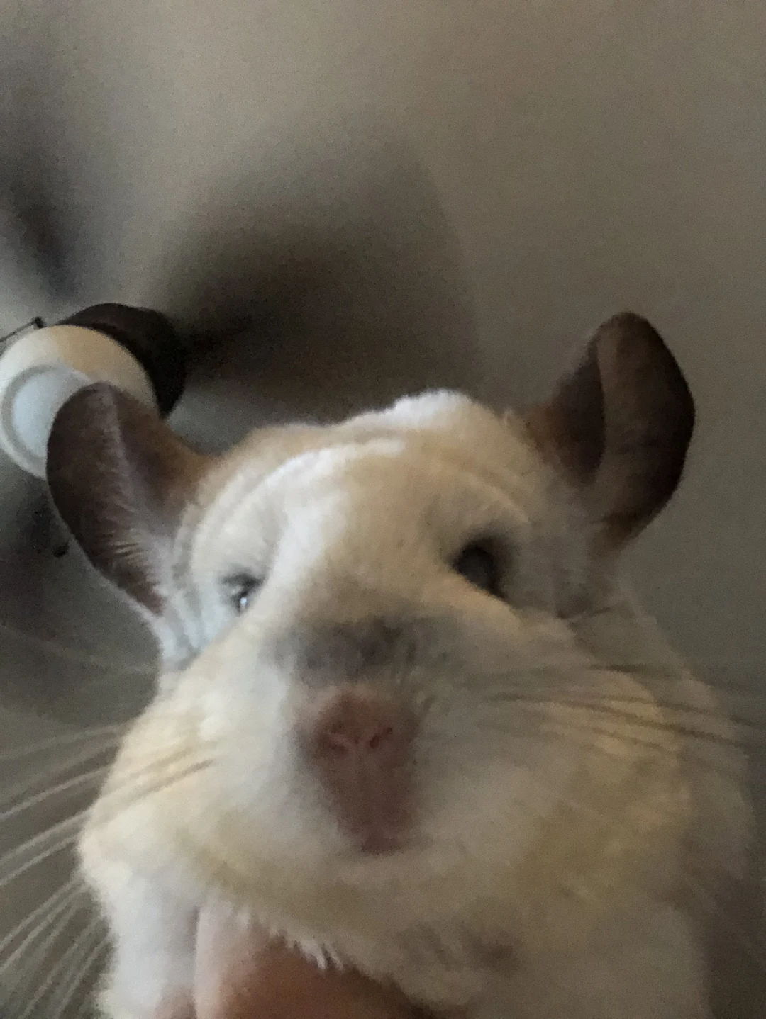 Aye girl u up? | Scrolller