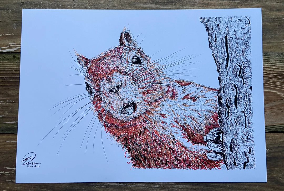 Cheeky Red squirrel | Scrolller