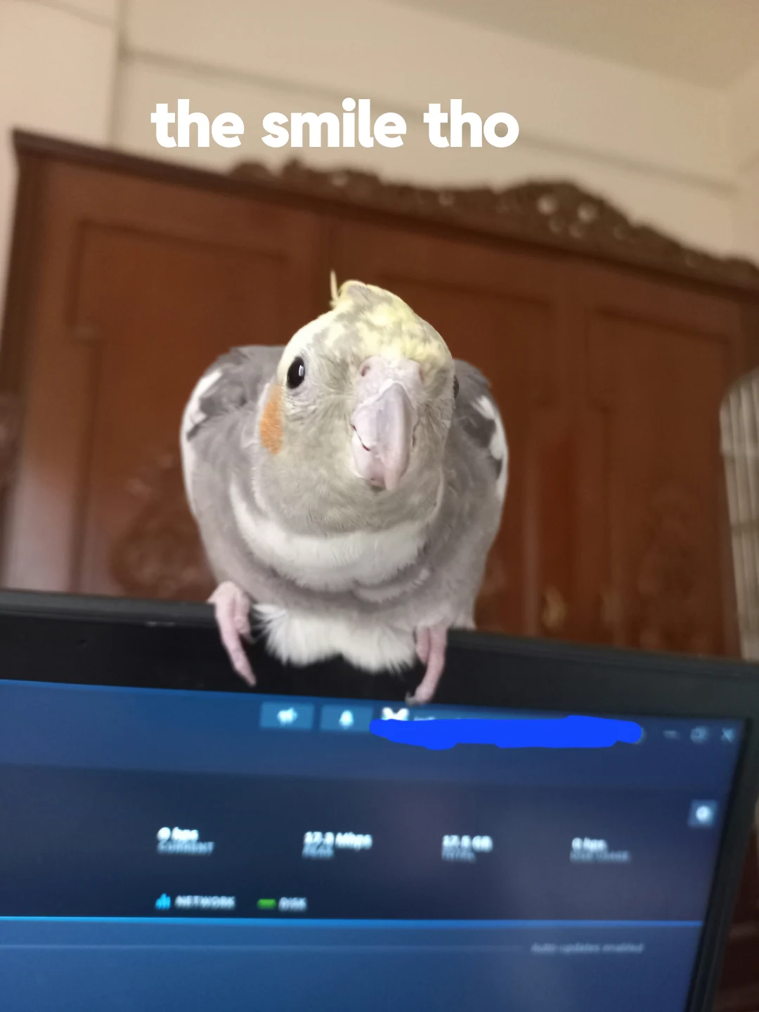 Why does this look inappropriate lol | Scrolller