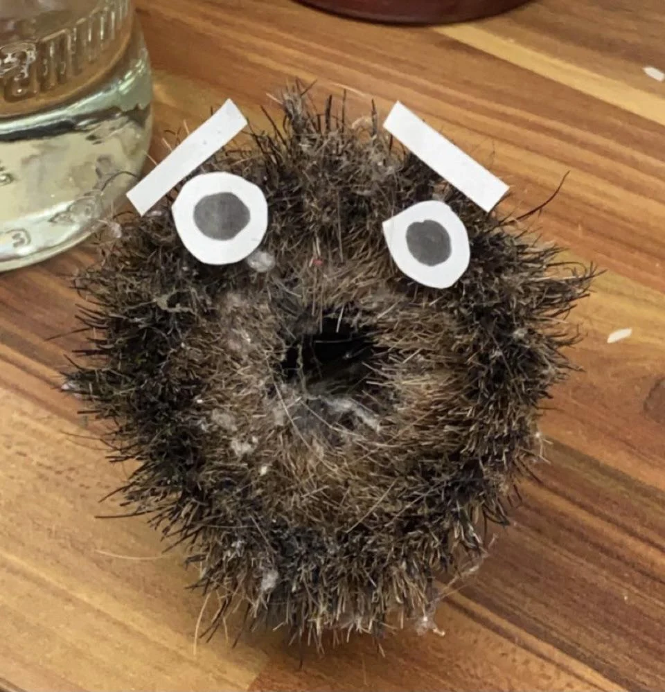 Hoover attachment looking hella easy… | Scrolller