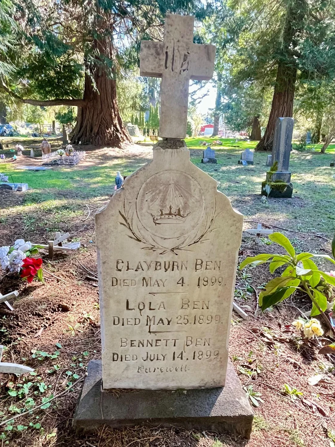 Siblings | Scrolller