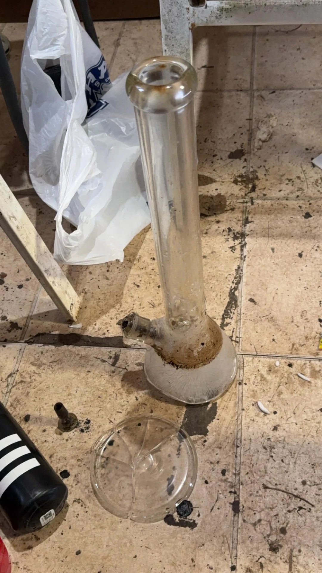 RIP Bong Travolta, my dumbassery was your demise 💔 | Scrolller