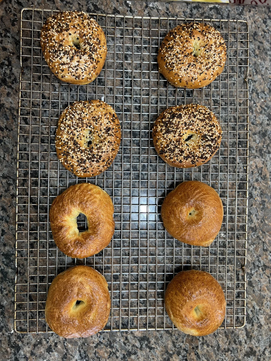 My first attempt at bagels! | Scrolller