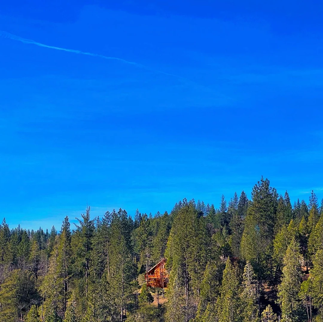 My cabin hiding in the trees | Scrolller