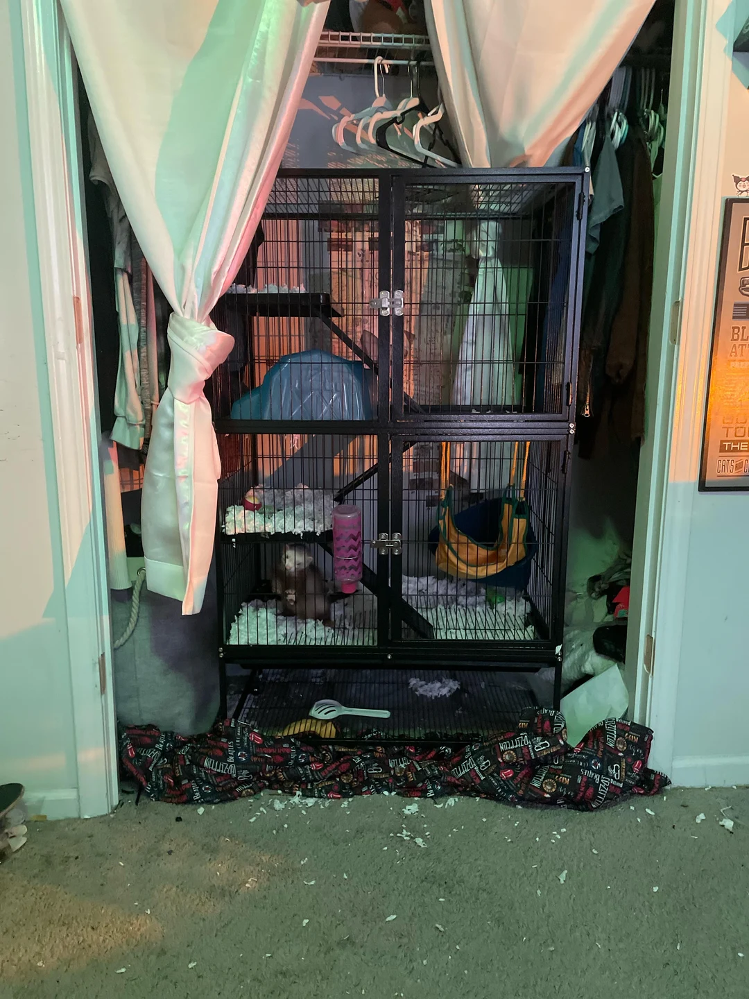 Ferret cage | Scrolller