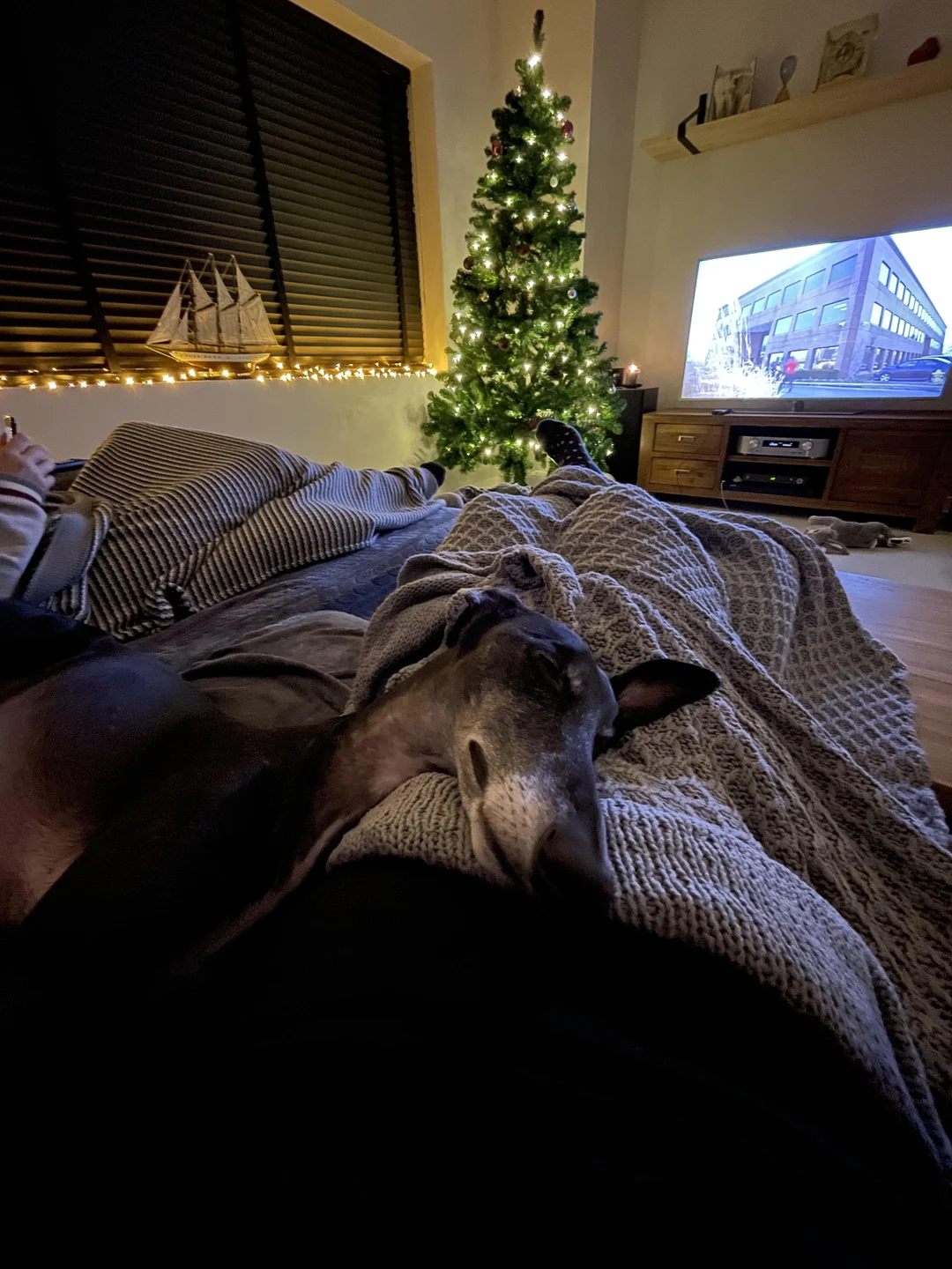 Sleeping noodle | Scrolller