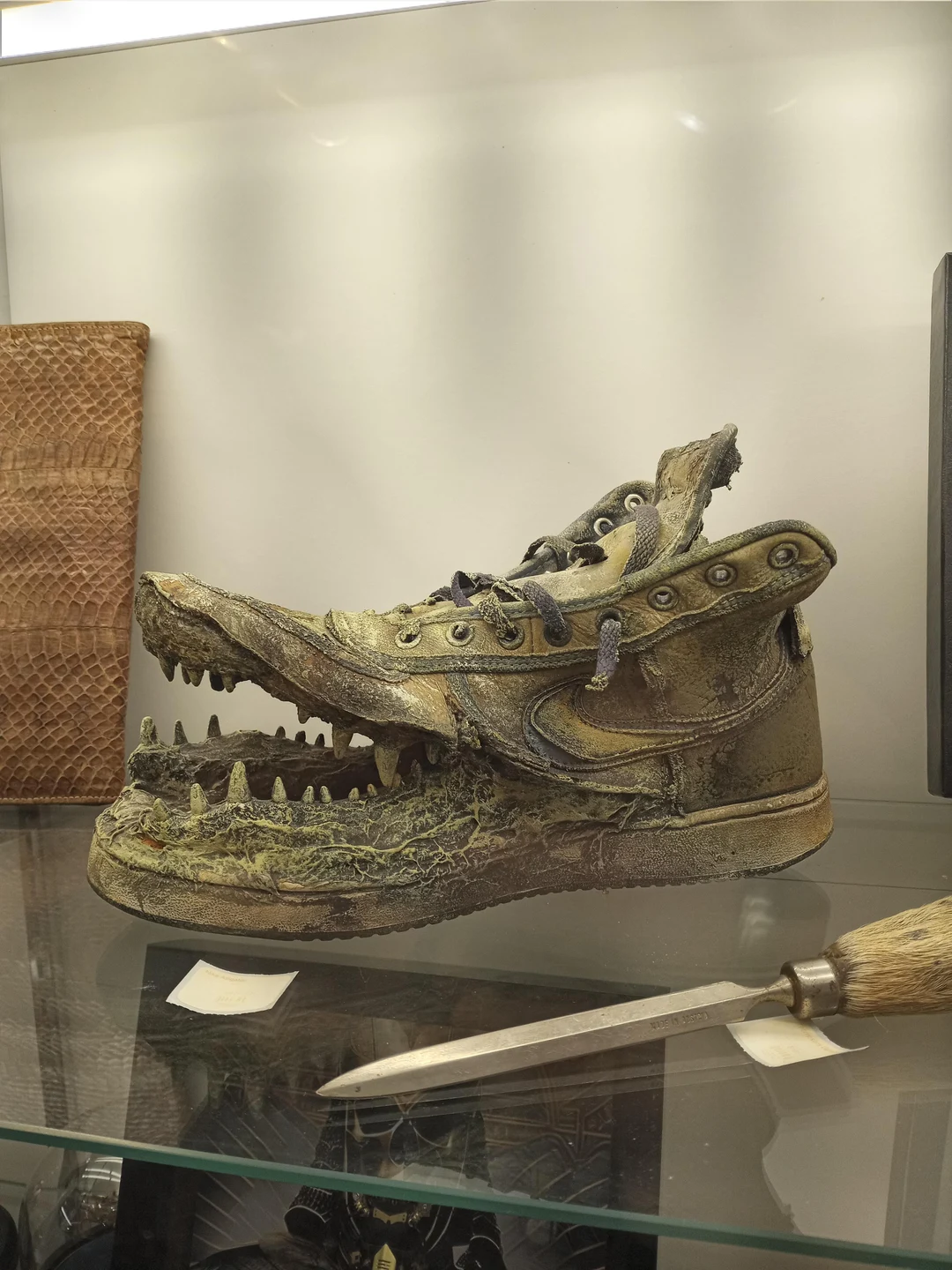 Can anybody ID? | Scrolller