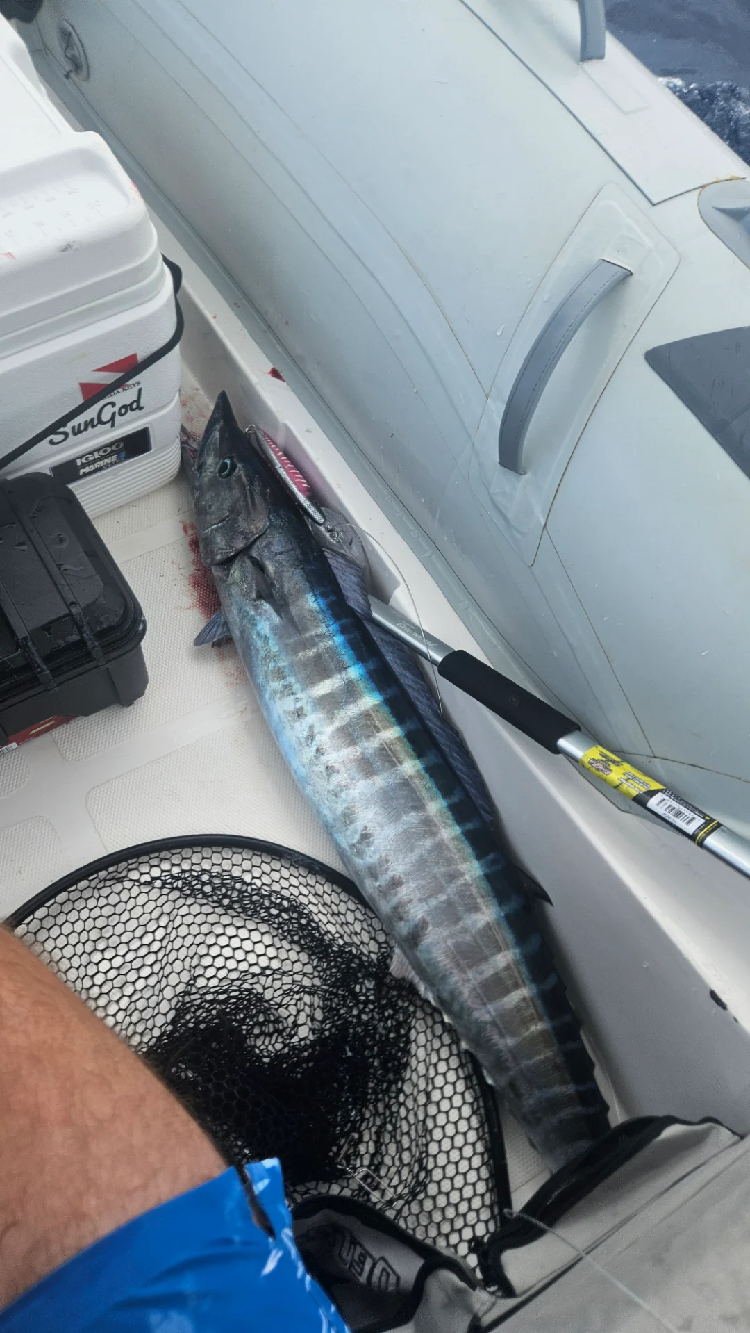 First ever rod and reel fish | Scrolller