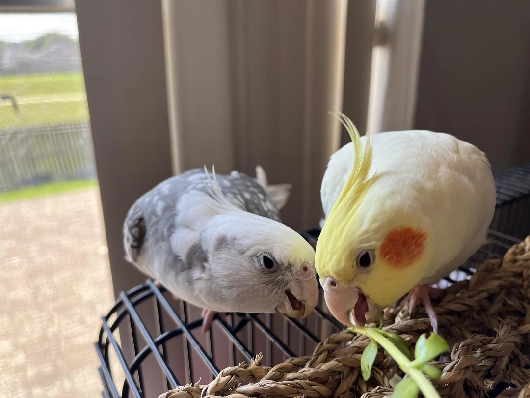 My little nightmares 🫠 | Scrolller