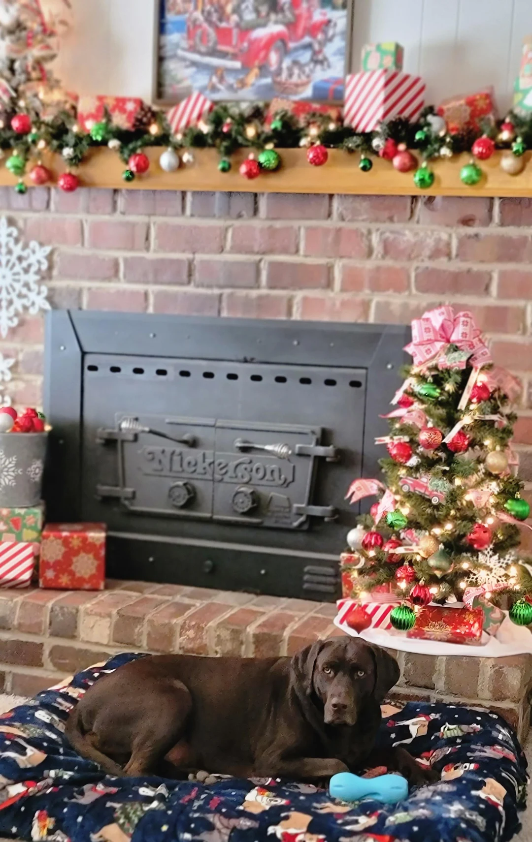 Christmas modeling | Scrolller