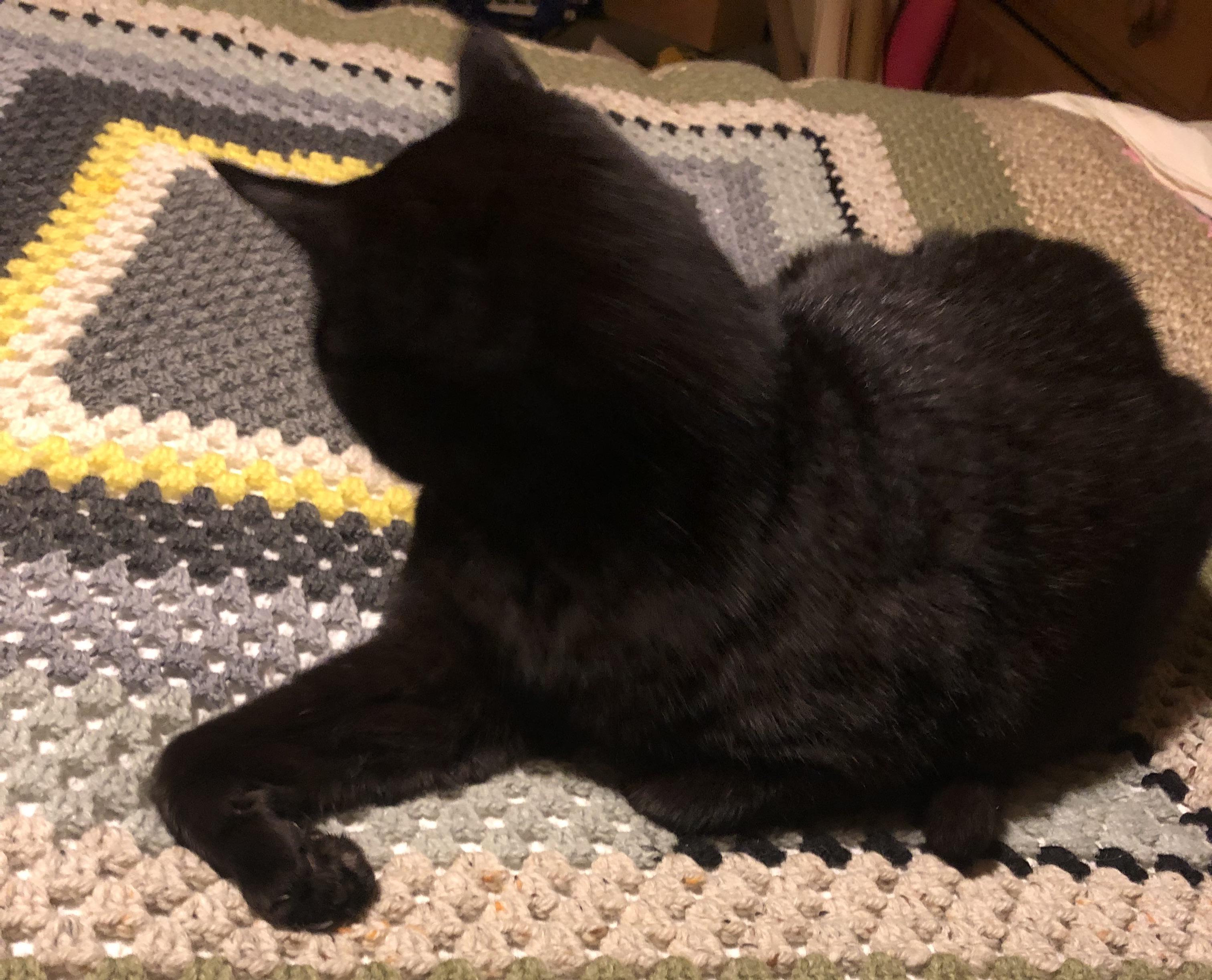 Failed loaf check | Scrolller