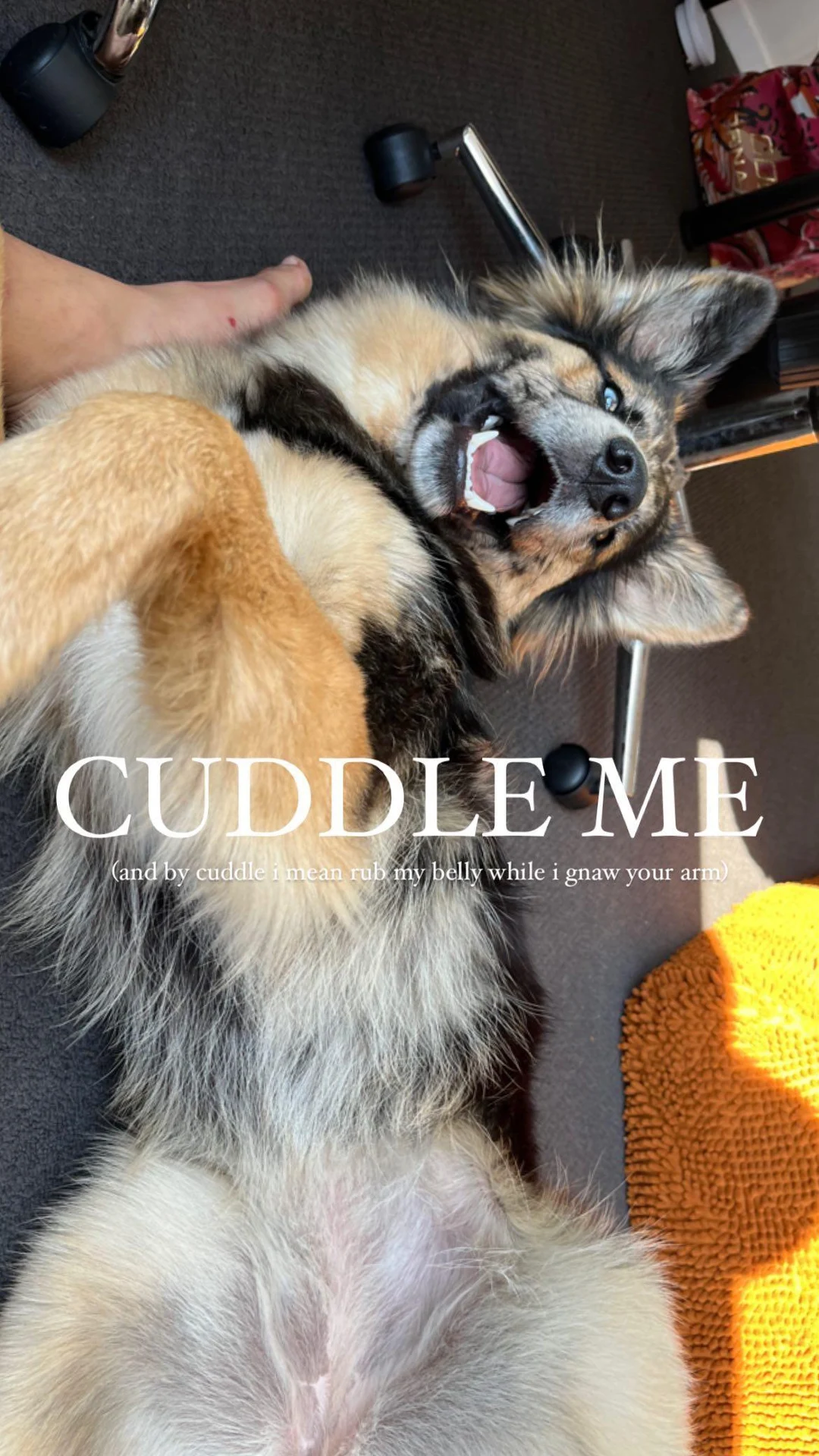 cuddles, but with teeth. | Scrolller