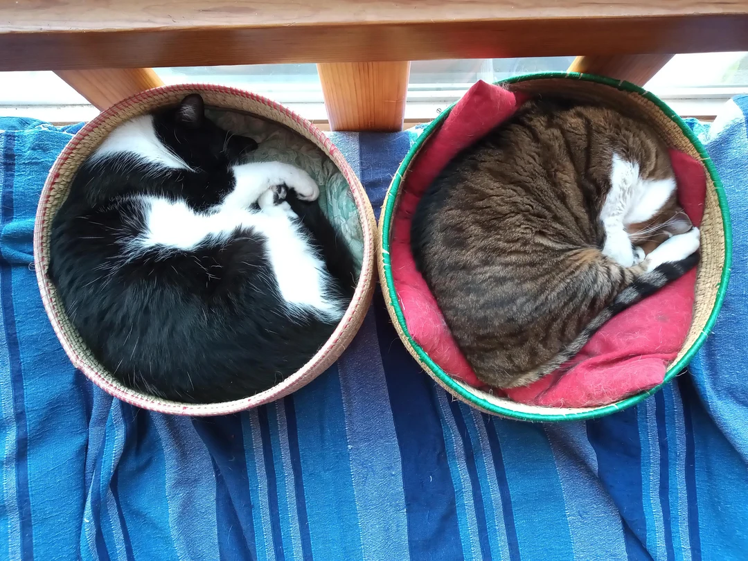 Circular Trap for maximum efficiency | Scrolller