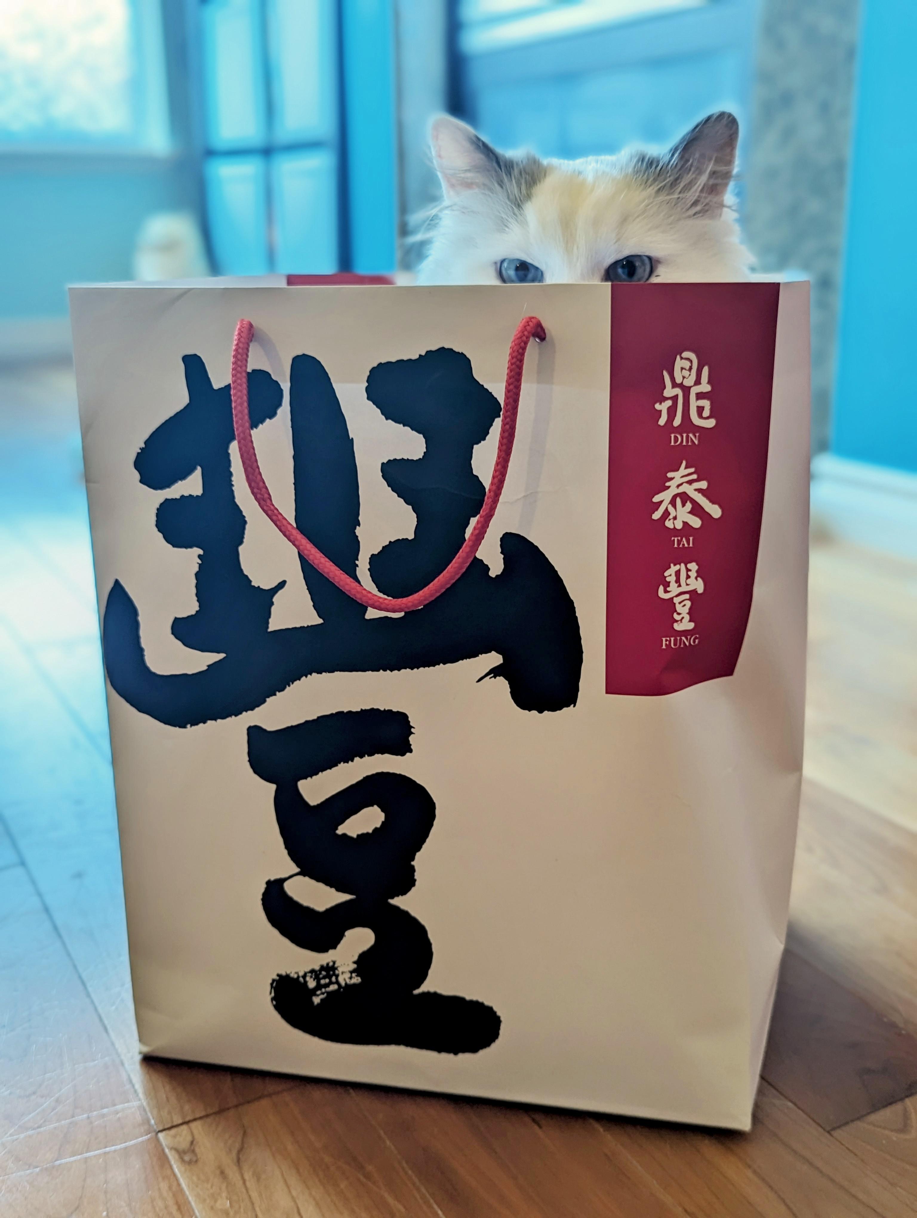 I get the dumplings and Jack gets the bag! | Scrolller