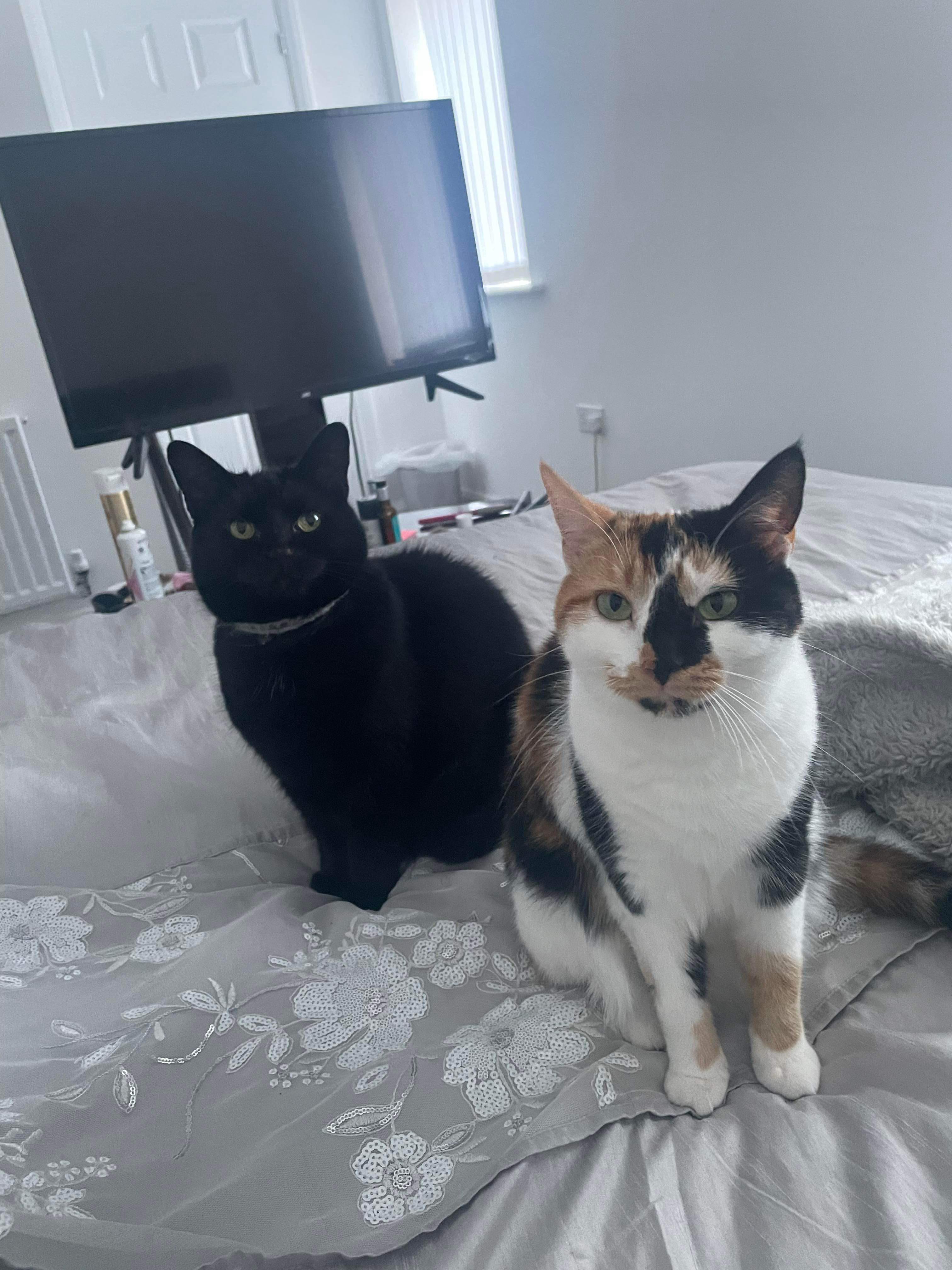 Sophie and Luna | Scrolller