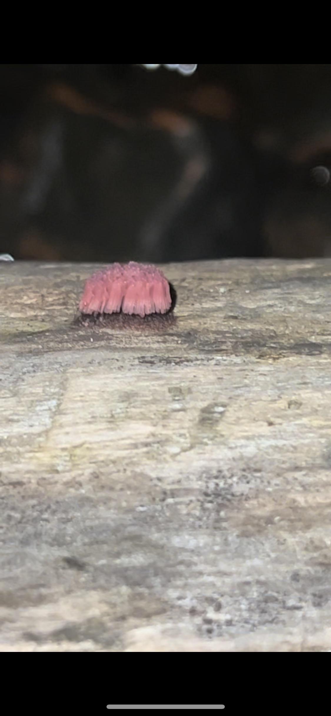 Upstate NY.. on the beach! | Scrolller