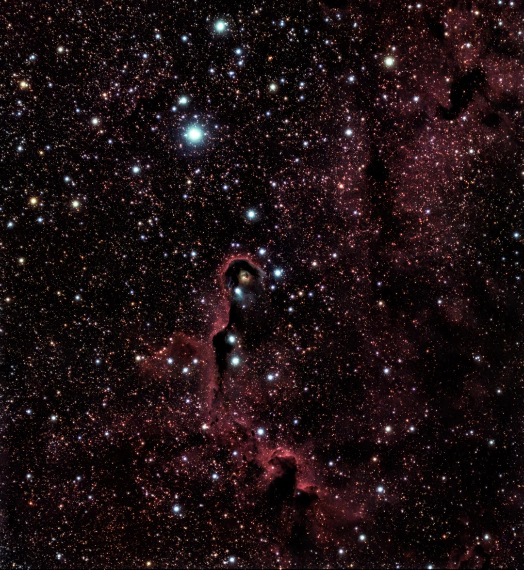 My first photo of the elephant trunk nebula | Scrolller