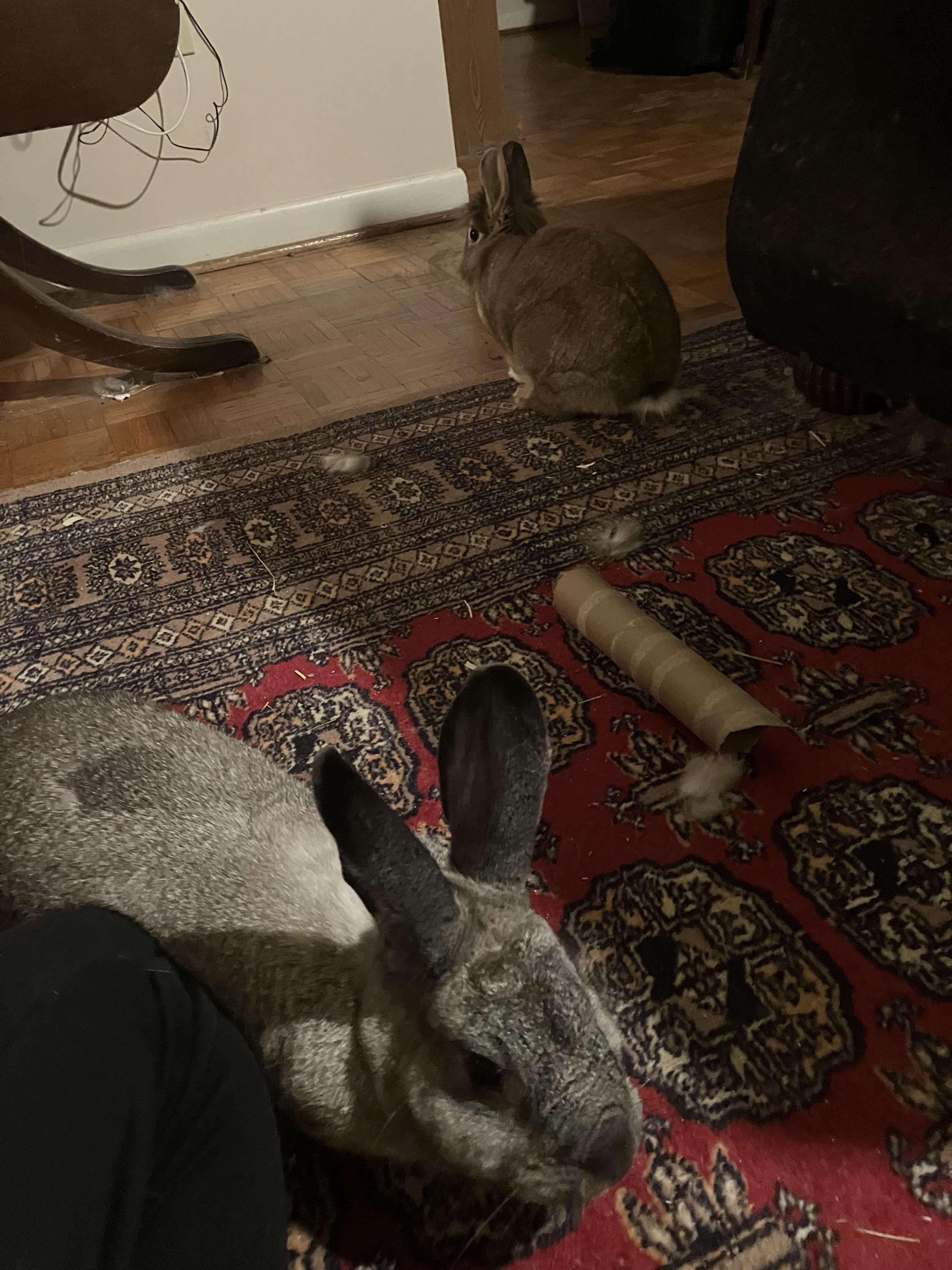 Male & female bonding tips? | Scrolller