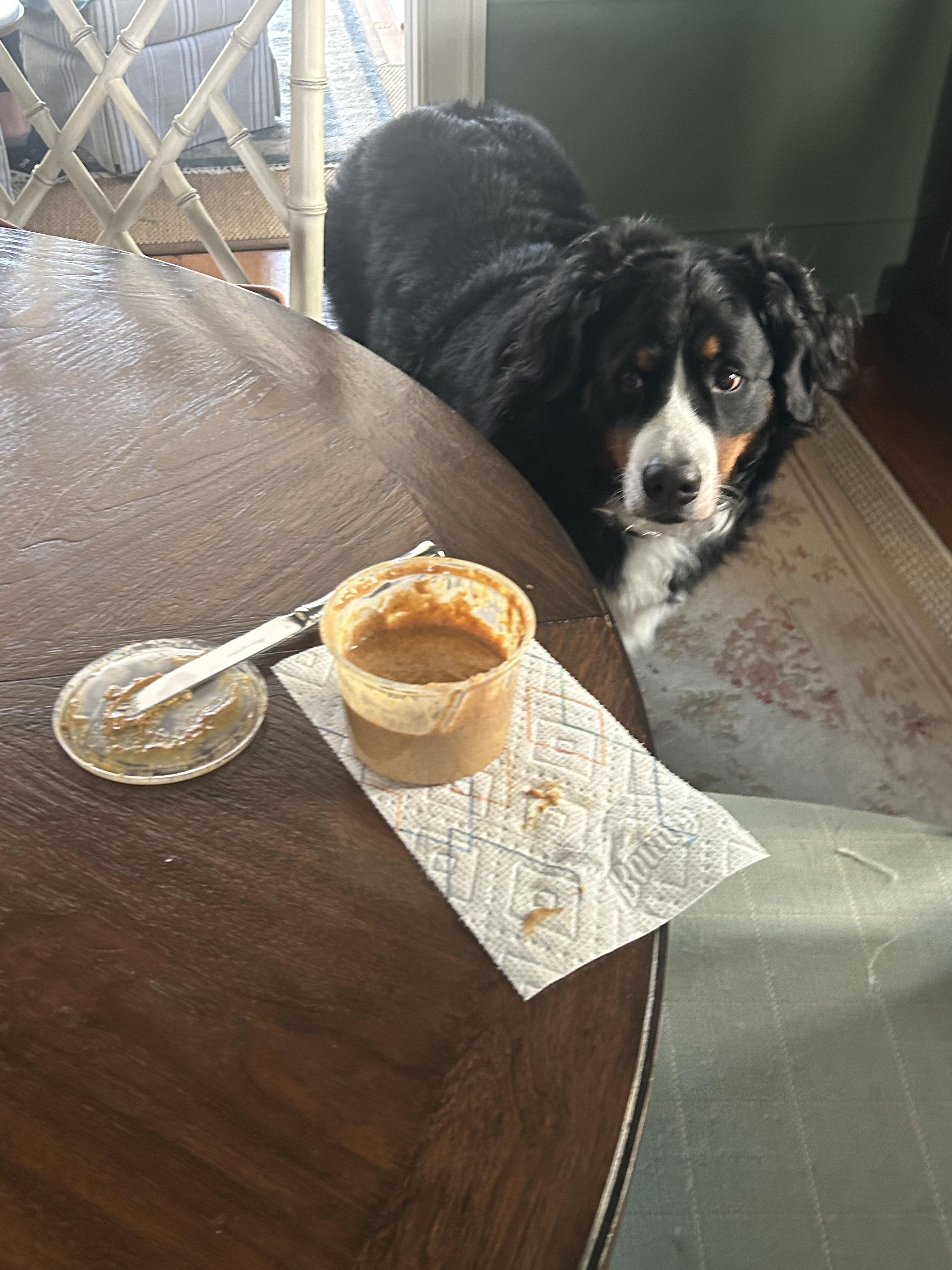 May I have some peanut butter? | Scrolller