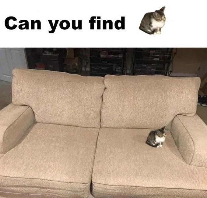 New photo shows SHOCKING discovery!!! | Scrolller