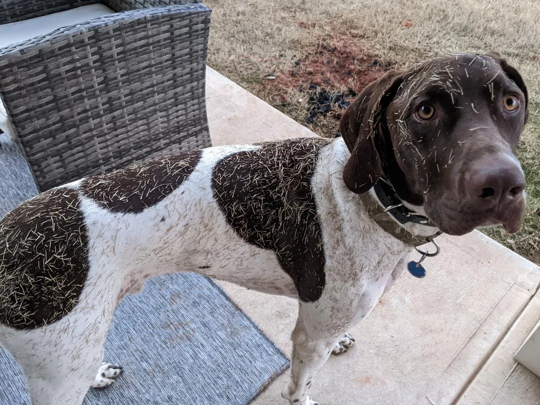 Grass derp. | Scrolller