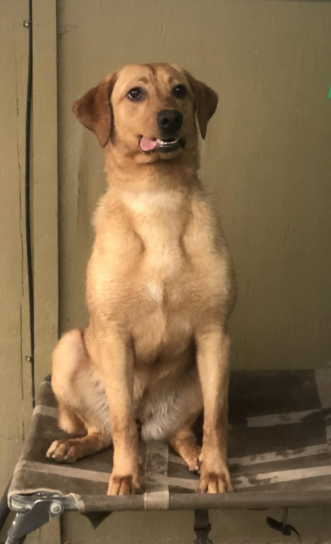 Goofy face | Scrolller