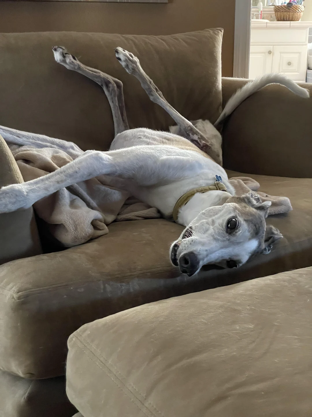 Favorite position - upside down with a little bit of twist | Scrolller