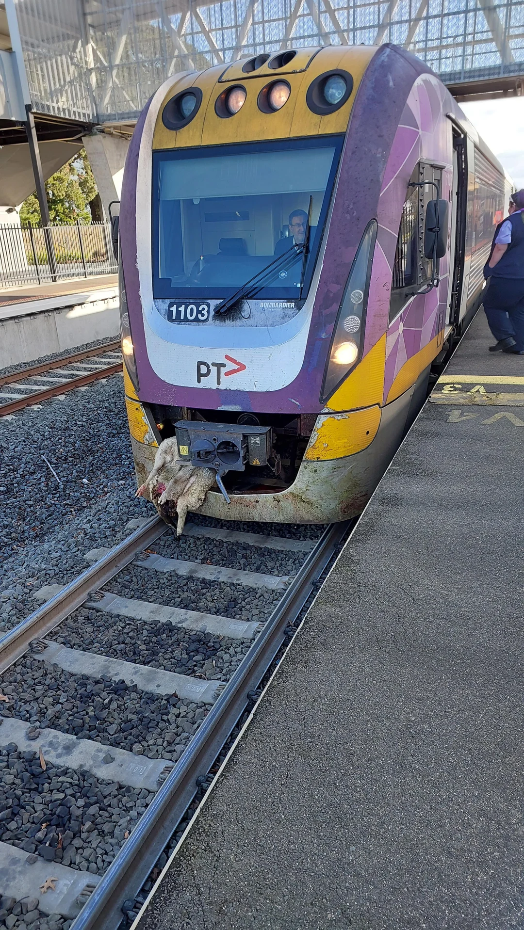 That's called roadkill | Scrolller