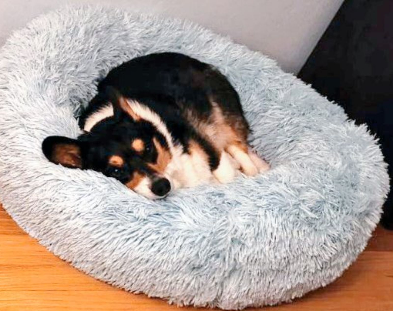 Shedding! | Scrolller