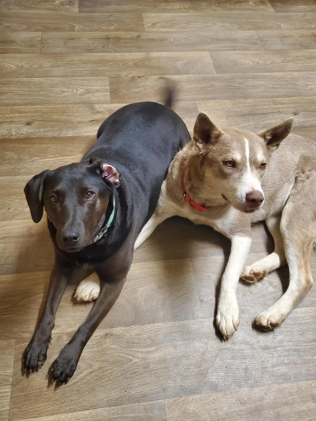 It's almost suspicious | Scrolller