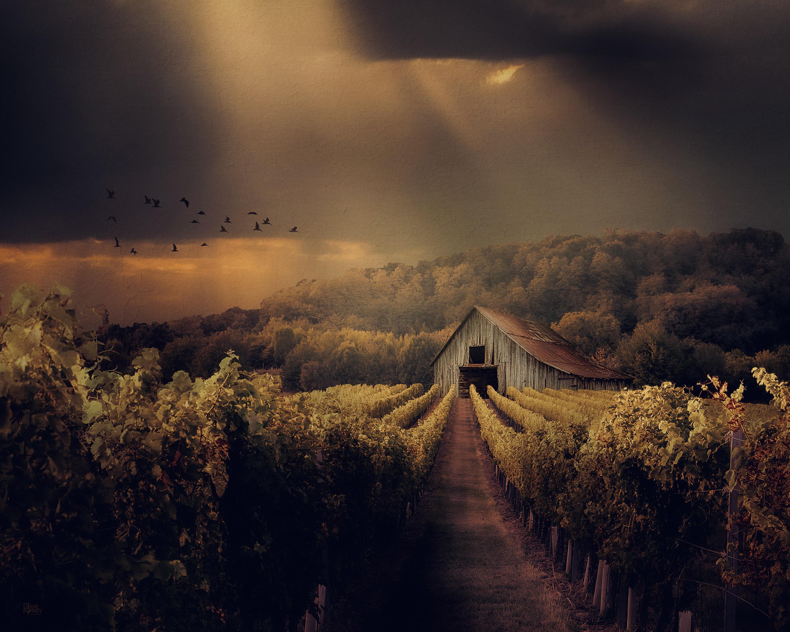 Vineyard Barn, Me, Digital, 2022 | Scrolller