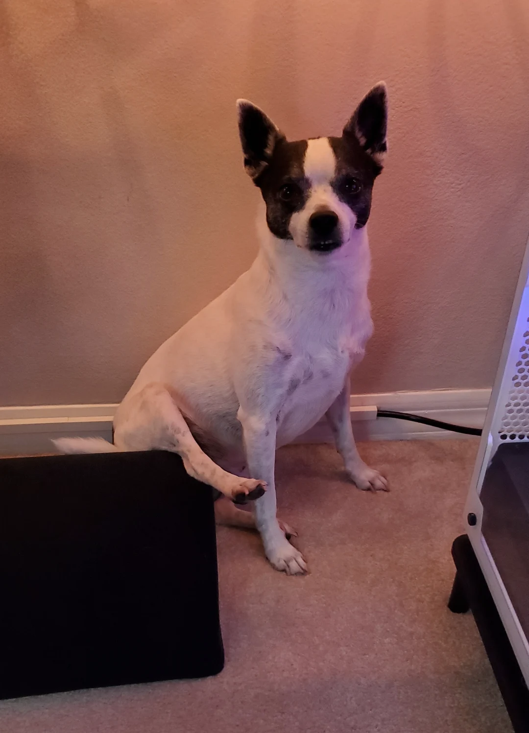 Just your average, totally normal sitting position | Scrolller