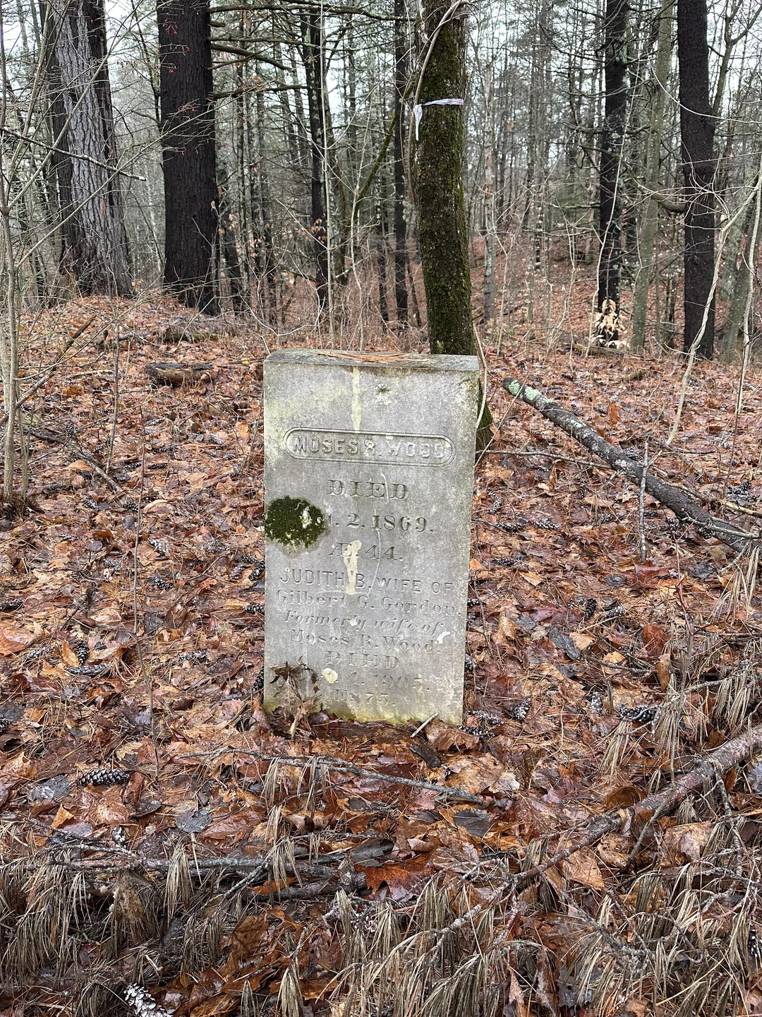 A lone grave in the woods | Scrolller