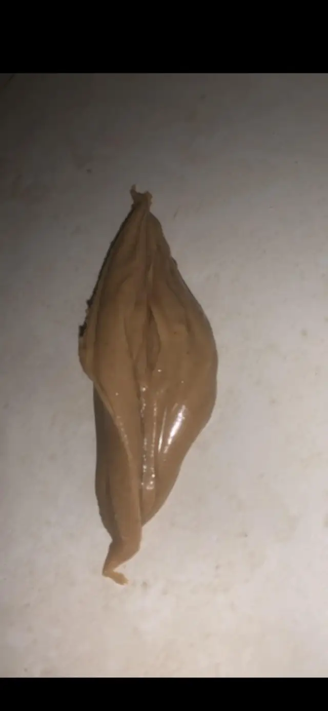 I dropped peanut butter on the ground | Scrolller