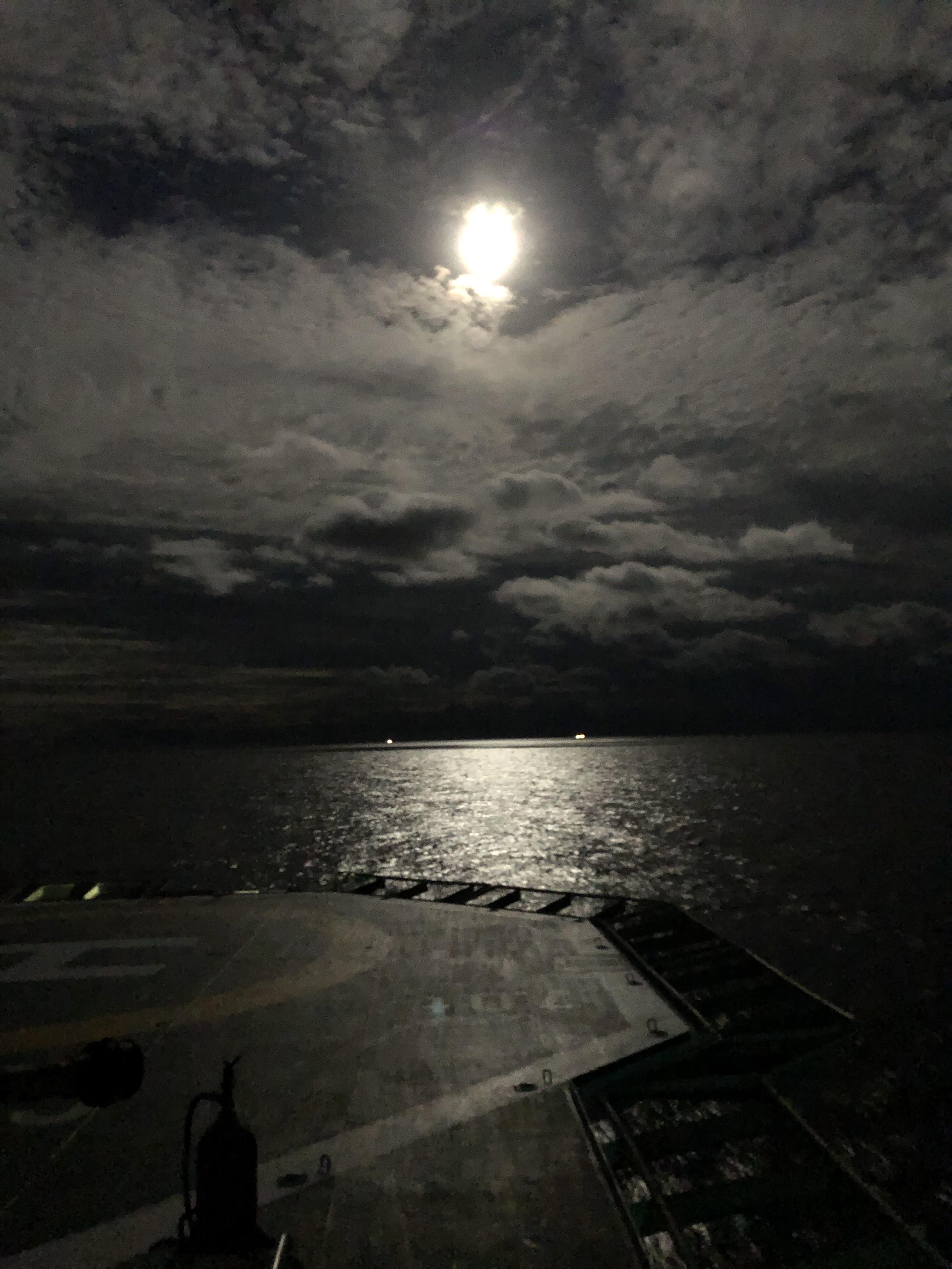 Paradise by the dashboard Moonlight | Scrolller