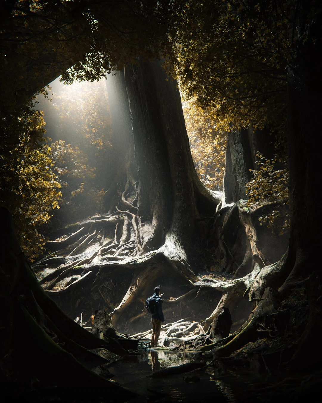 Deep Undergrowth, Me, 3D Render, 2023 | Scrolller