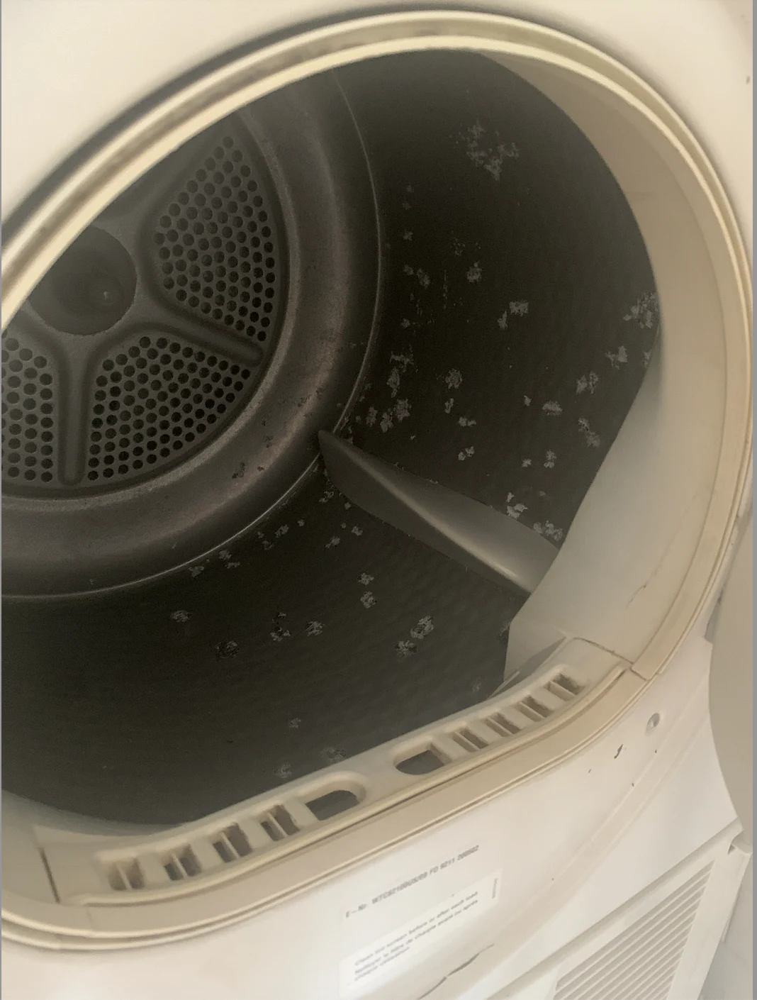 Please Help - Mold Spots on Steel Dryer Drum? | Scrolller