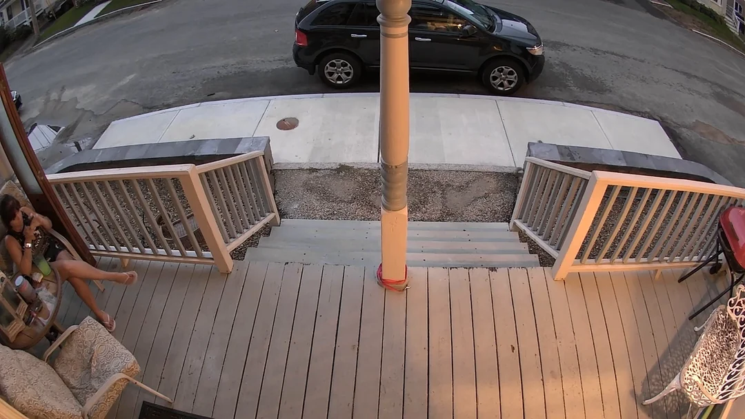 A pterodactyl in training | Scrolller