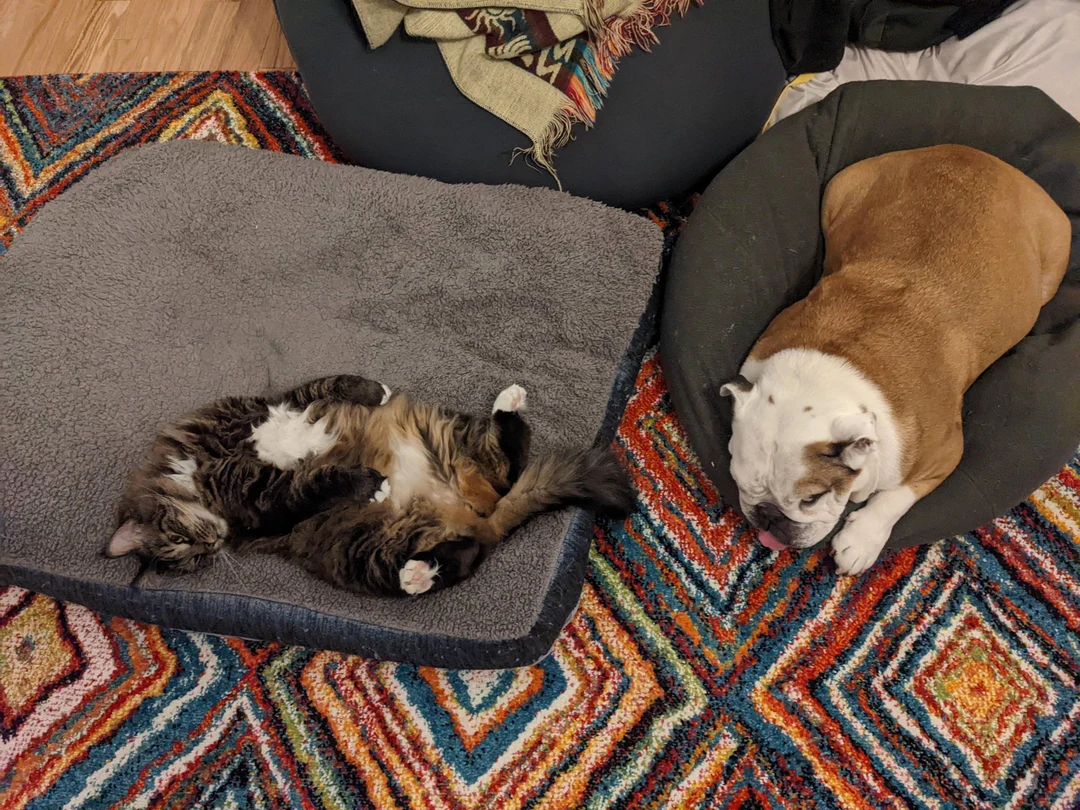 at least she still gets one of her beds | Scrolller