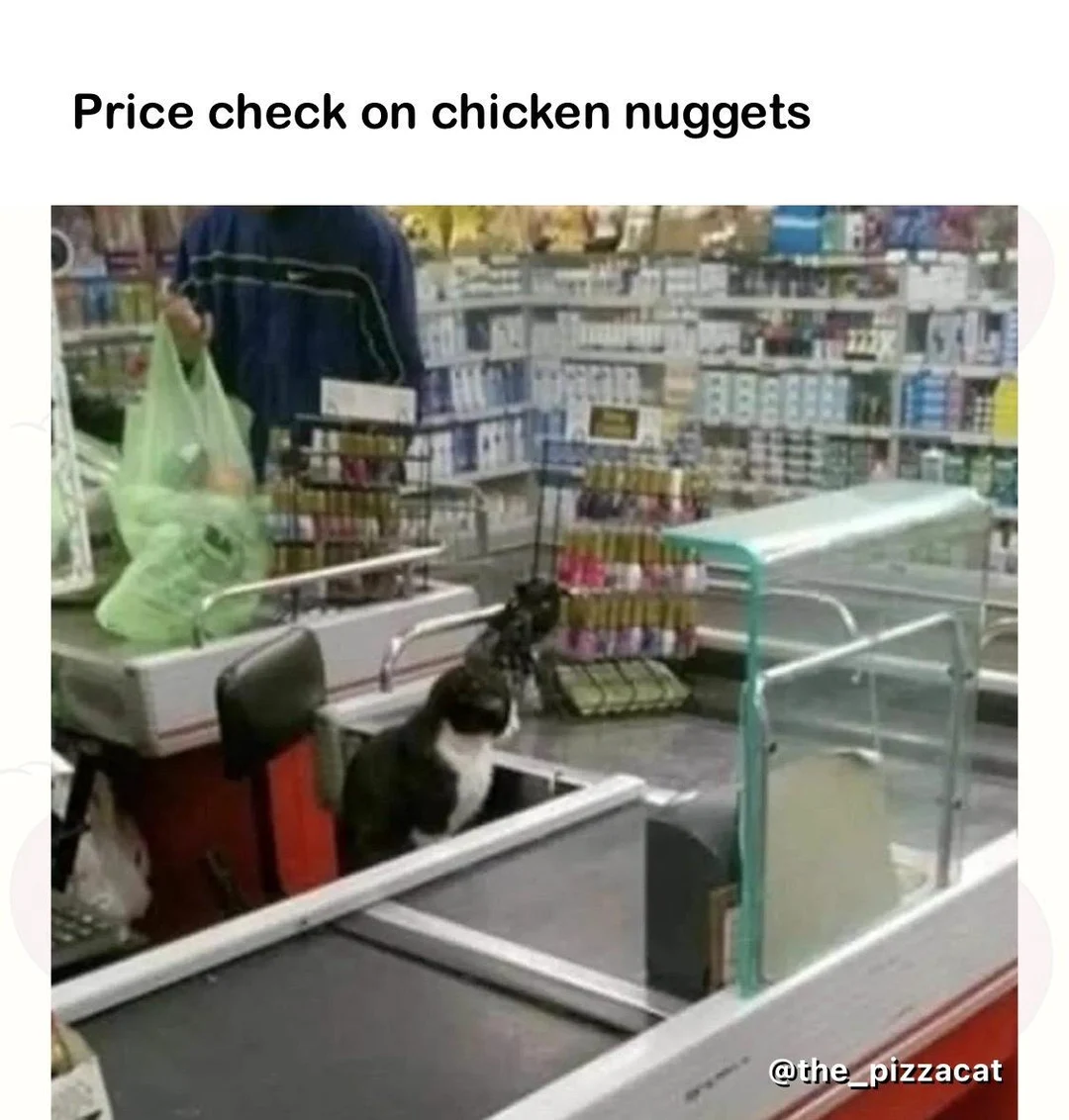 Nugget check | Scrolller